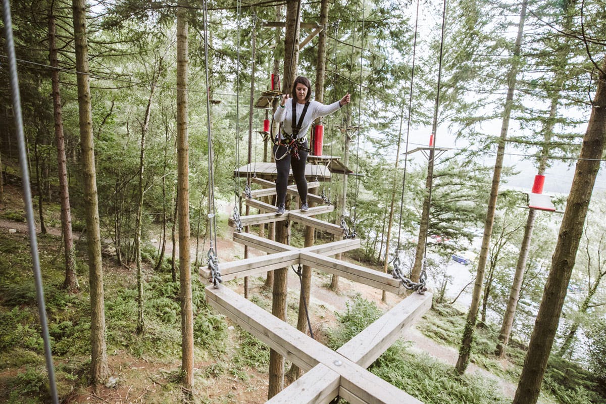 Fforest Zip Safari at Zip World | Virgin Experience Days