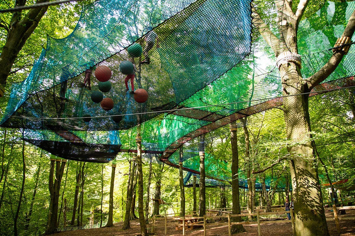Full High Ropes Treetop Zip Trek and Nets Experience | Virgin ...