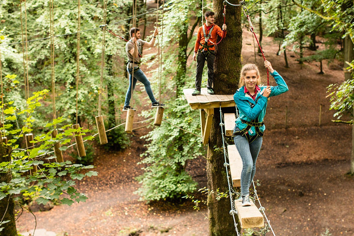 Full High Ropes Treetop Zip Trek and Nets Experience | Virgin ...