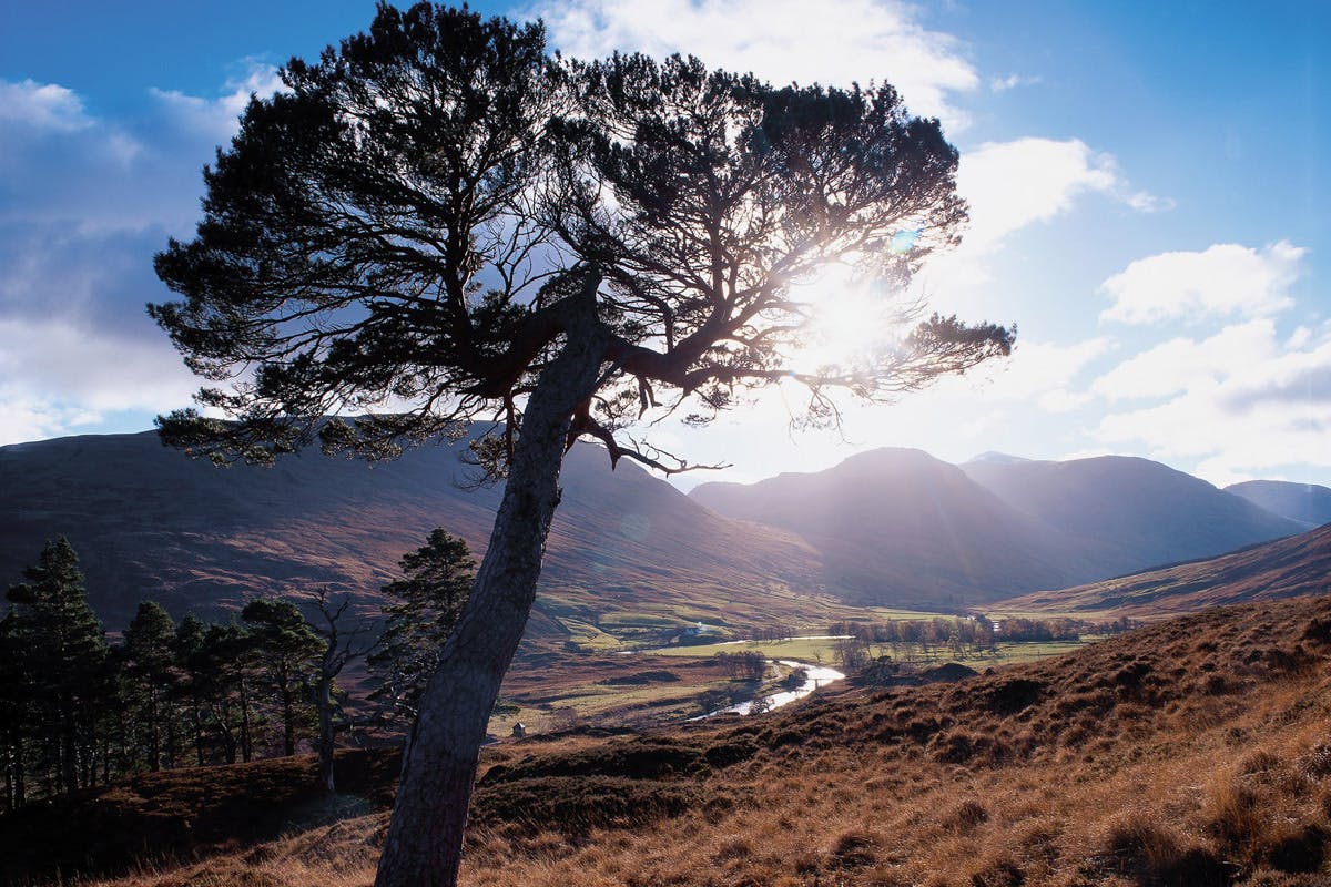 Highland Perthshire Off-Road Tour for Two | Virgin Experience Days