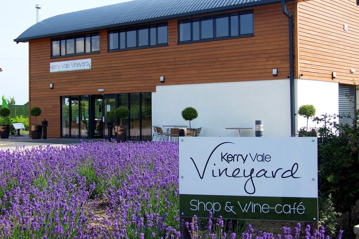 Vineyard Tour and Tasting with Cheese and Wine for Two at Kerry Vale ...