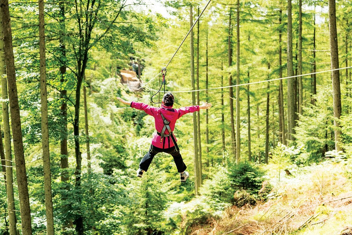 Zip Trekking Adventure for Two at Go Ape | Virgin Experience Days