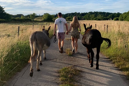 Donkey Meet, Greet and Walk with Picnic at Dashing Donkeys - Virgin ...