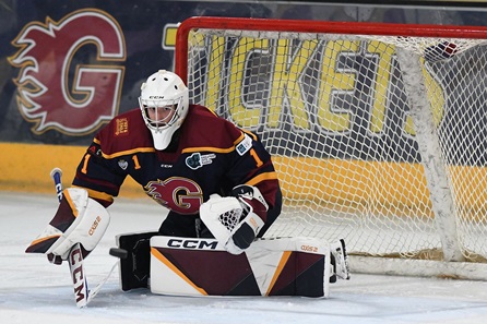 Guildford Flames Ice Hockey Home Match Tickets for a Family of Four ...