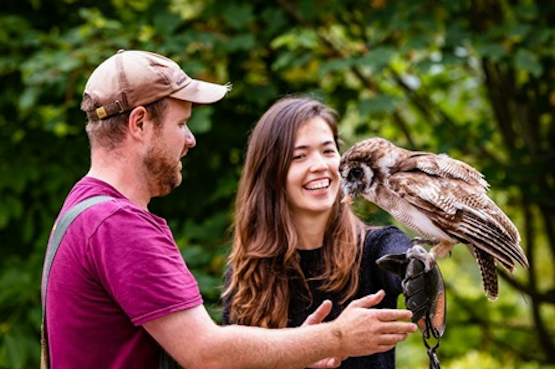 Hands on Owl Experience at Muncaster Castle with Garden Entry for Four ...
