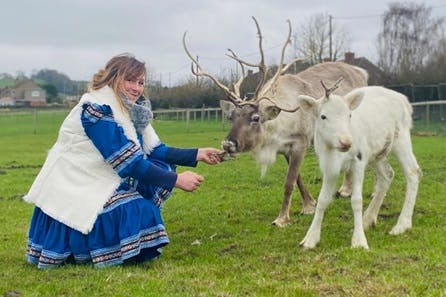 Meet and Feed the Reindeer with a Hot Chocolate for Two at Somerset ...