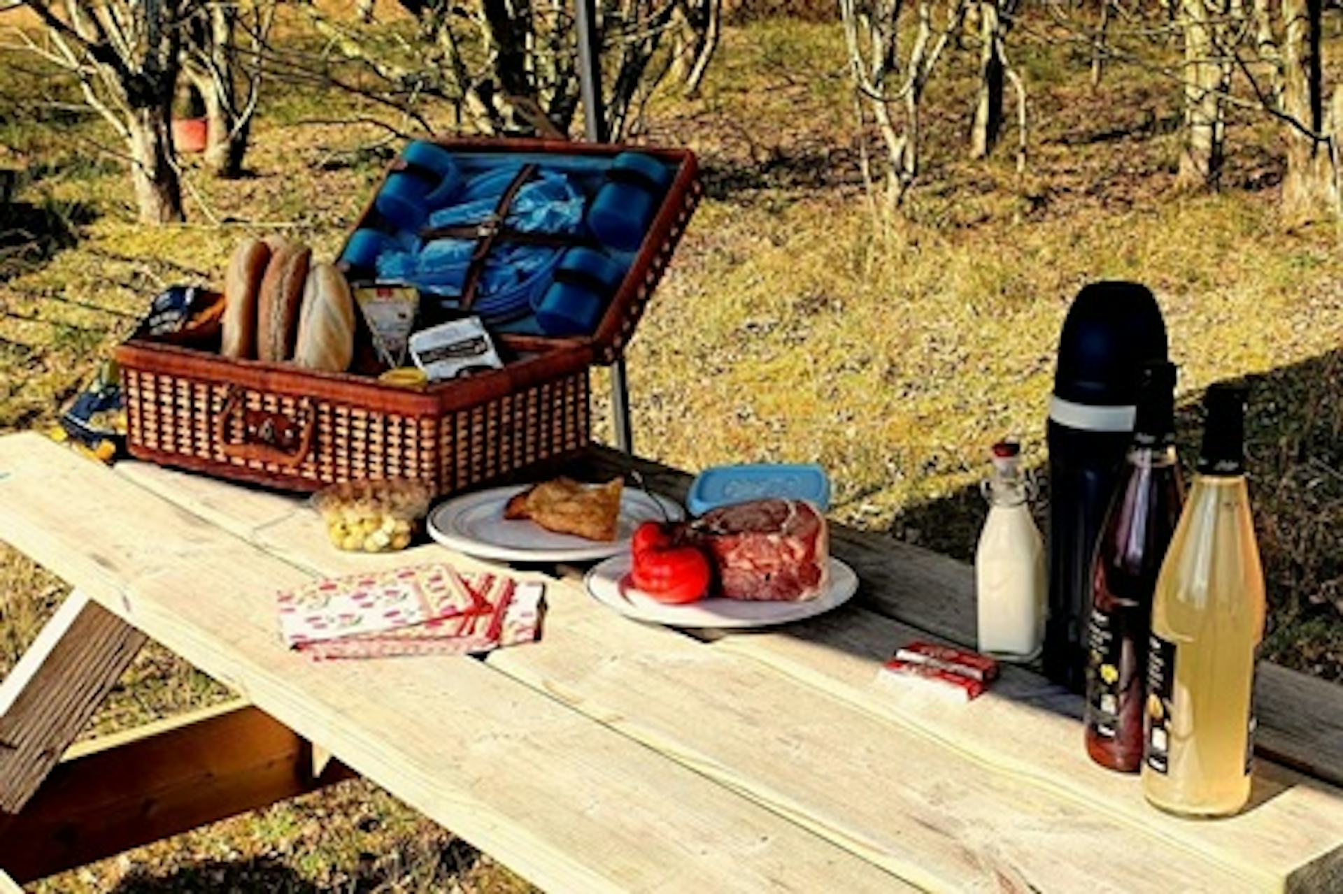 Paca Picnic for a Family for Four with Frankly Alpacas - Virgin ...