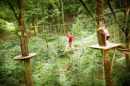 Tree Top Challenge for Two with Go Ape