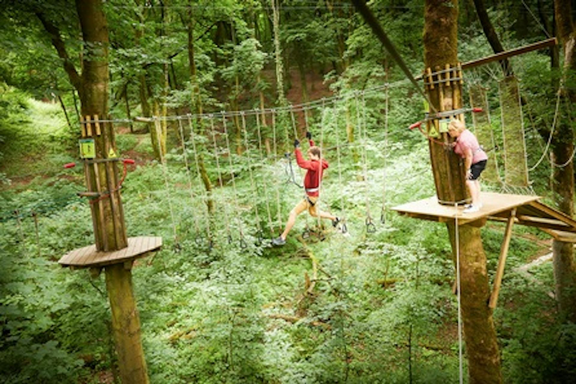 Tree Top Challenge for Two with Go Ape