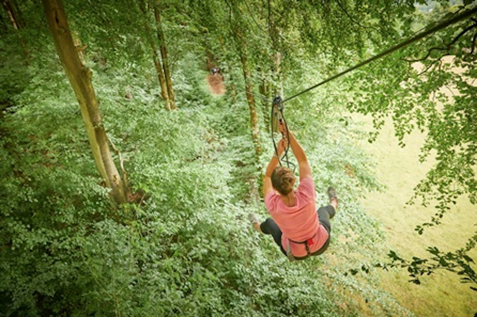 Tree Top Challenge for One with Go Ape