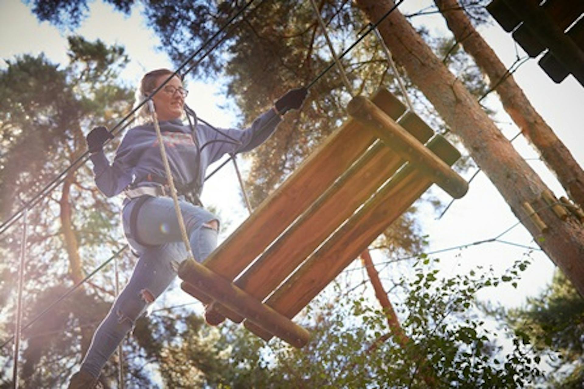 Tree Top Challenge for One with Go Ape