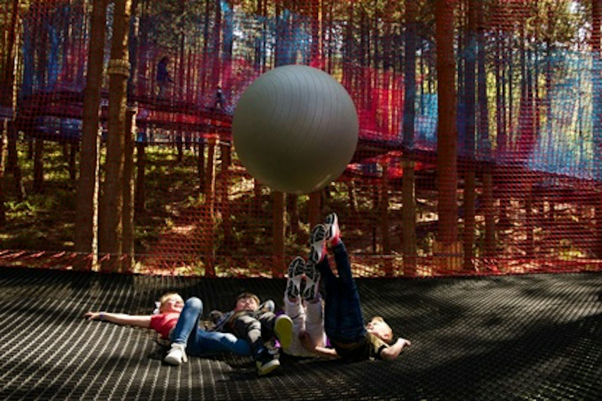 Treetop Nets Experience for Two at Zipworld - Virgin Experience Days