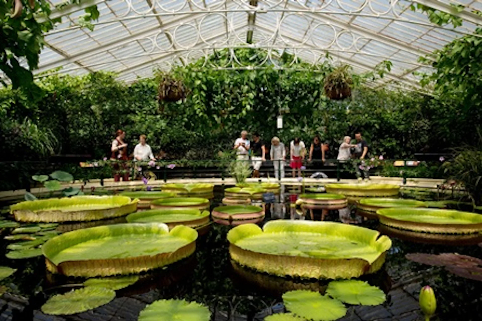 Visit to Kew Gardens with Thames River Cruise from Central London for ...