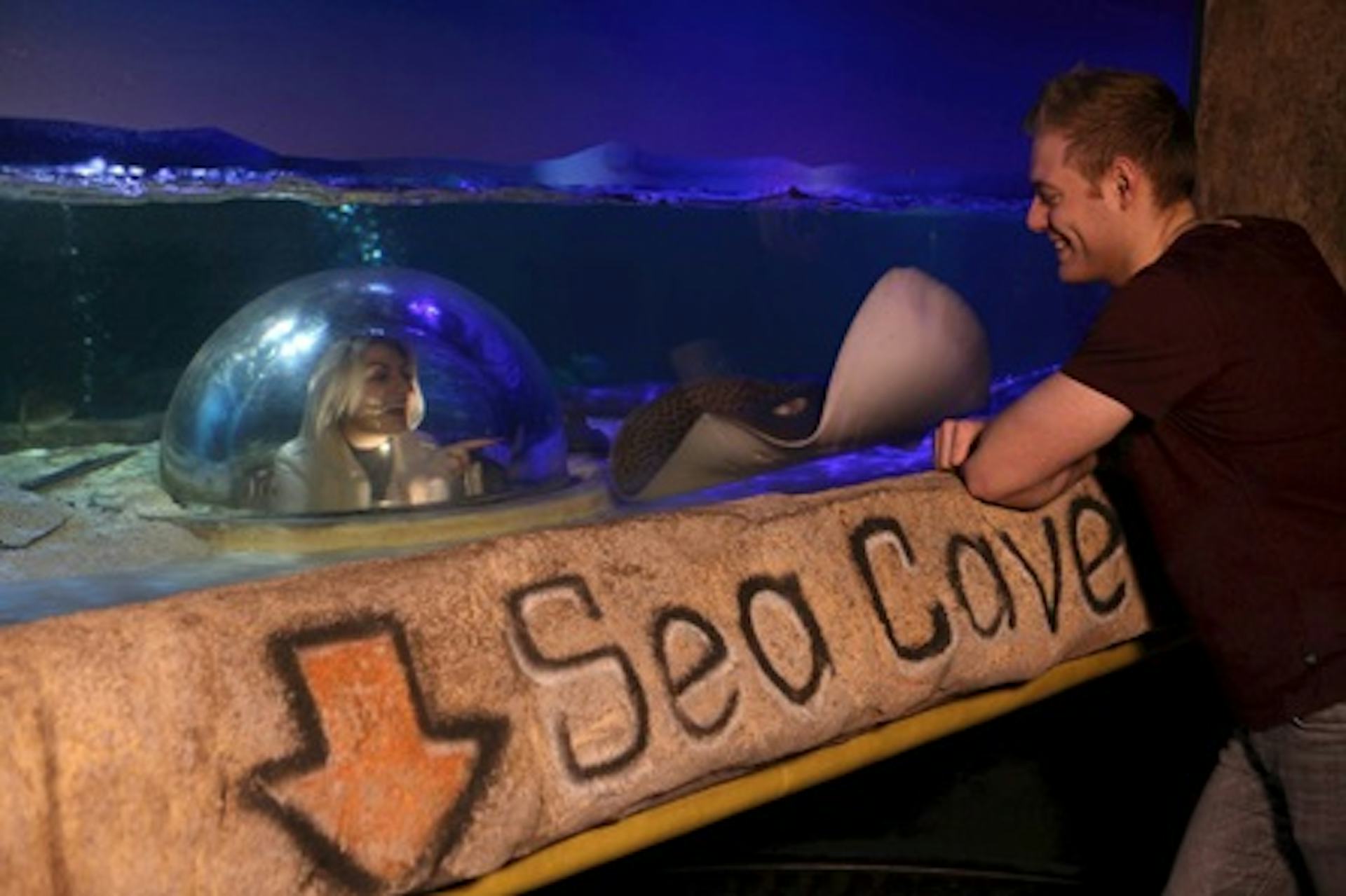 Visit to SEA LIFE Blackpool for Two - Virgin Experience Days